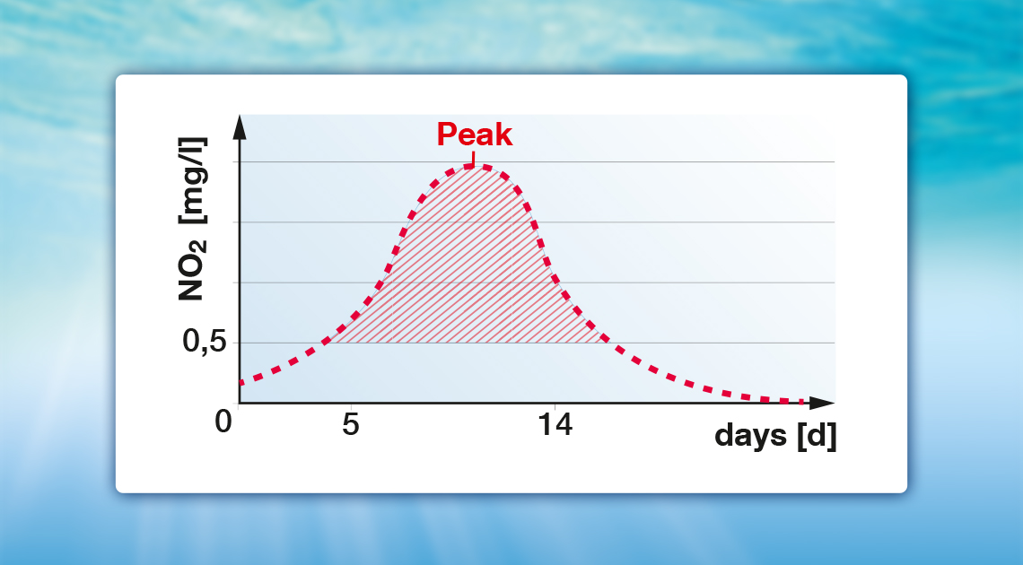 How long does it take for new tank syndrome to go away?