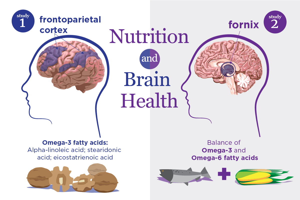 How long does it take for omega-3 to work for brain?