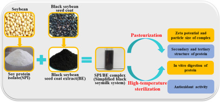 How long does it take for soy protein isolate to digest?