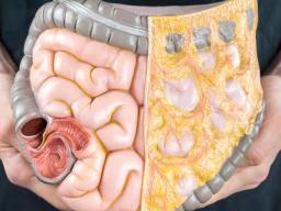 How long does it take for the digestive system to recover?