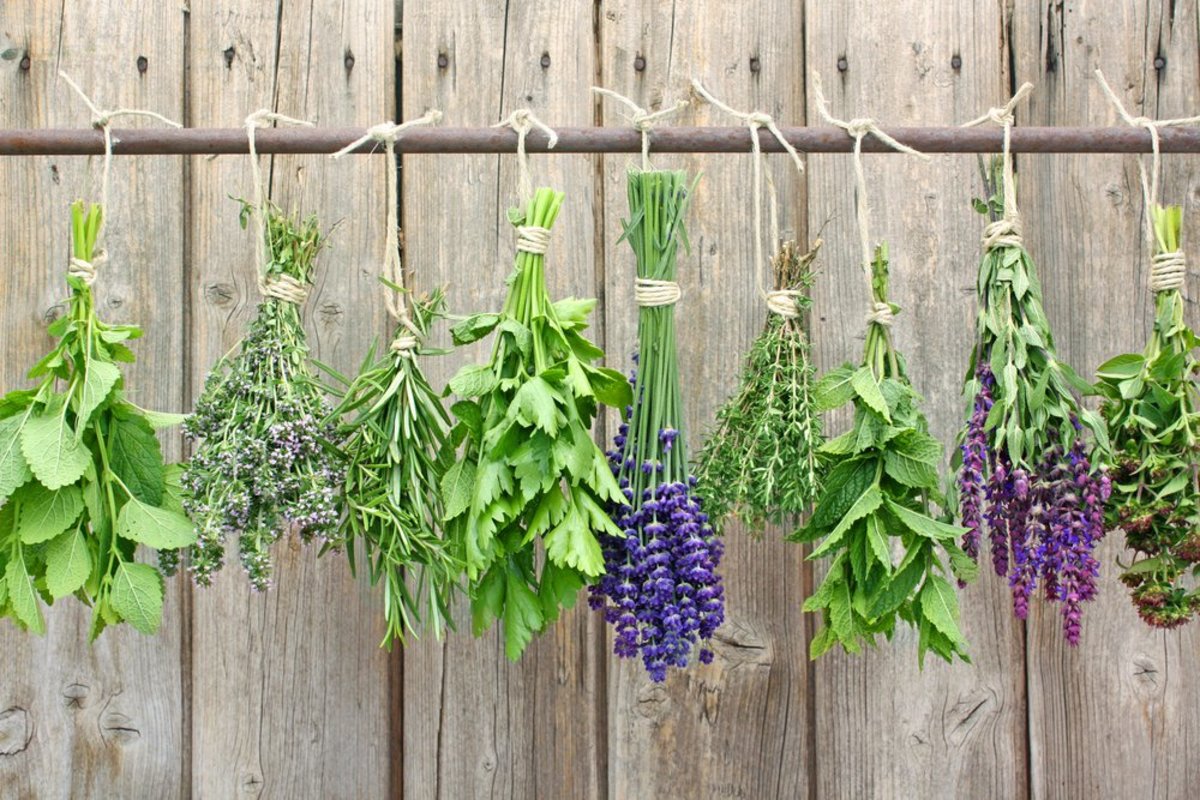 How long does it take herbs to air dry?