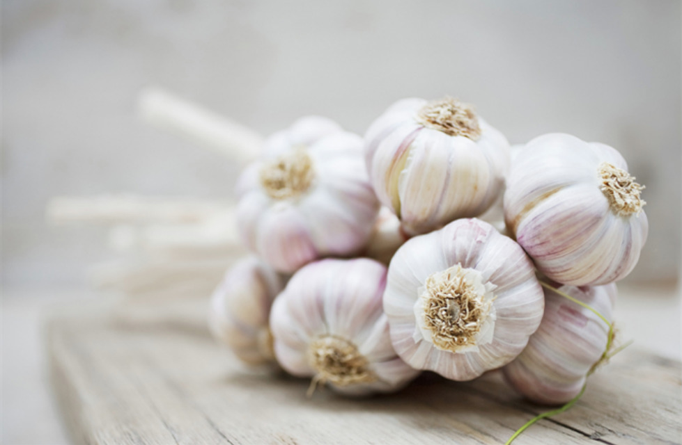 How long does it take to activate garlic?