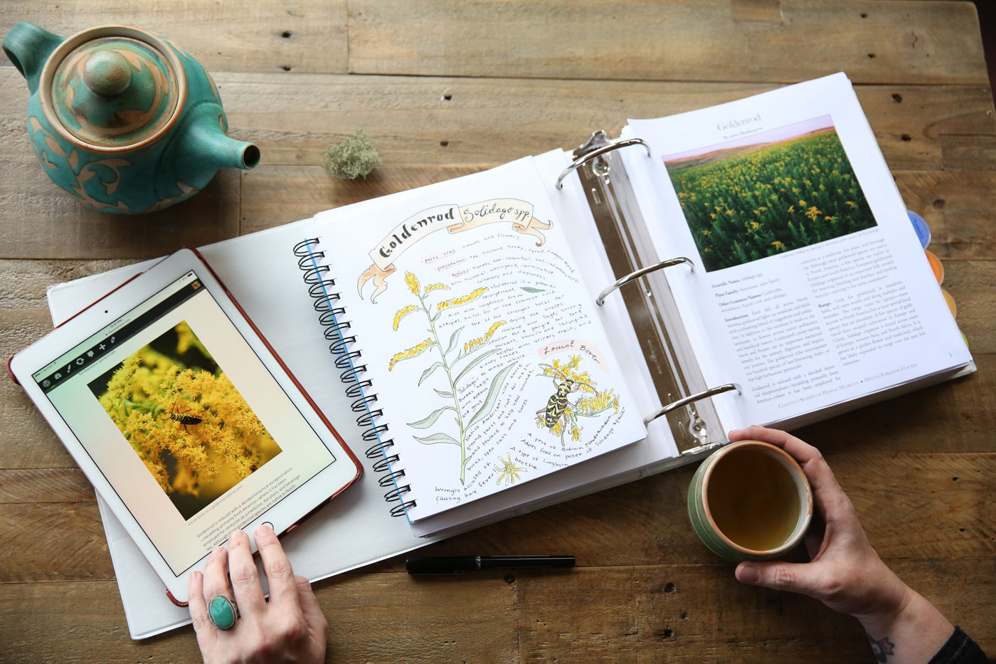 How long does it take to become a certified herbalist?