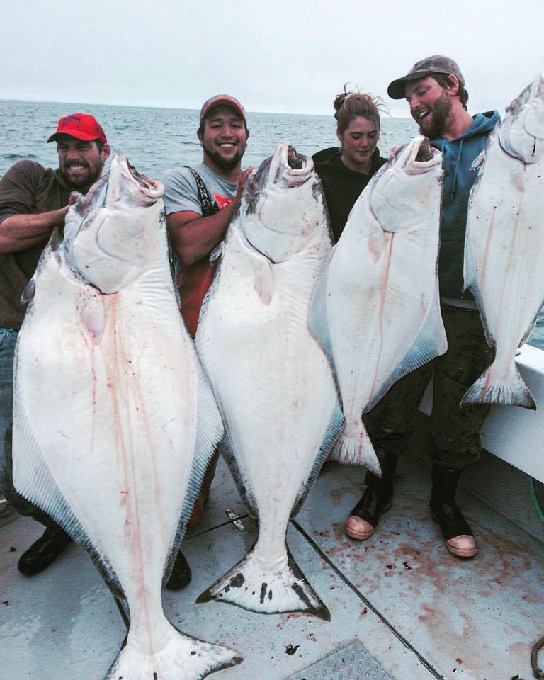 How long does it take to catch halibut?