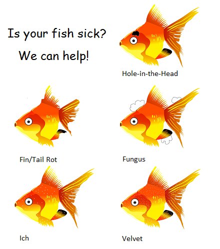 How long does it take to cure fish?