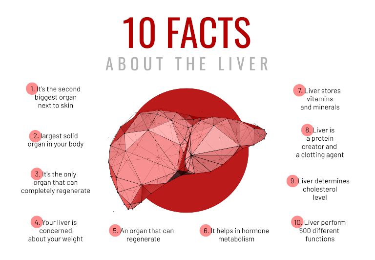 How long does it take to detox the liver?