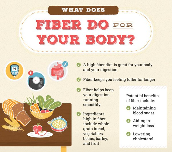 How long does it take to get fiber out of your system?