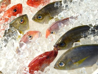 How long does it take to get food poisoning from fish?