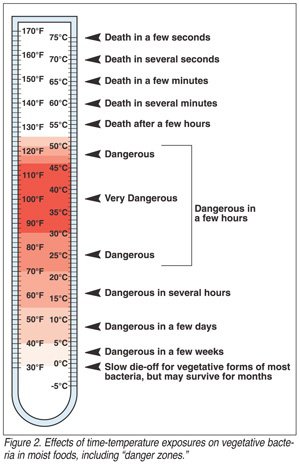 How long does it take to kill salmonella in boiling water?