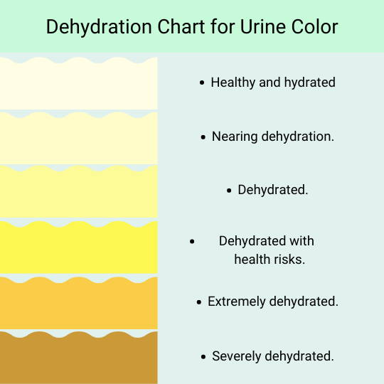 How long does it take to rehydrate naturally?