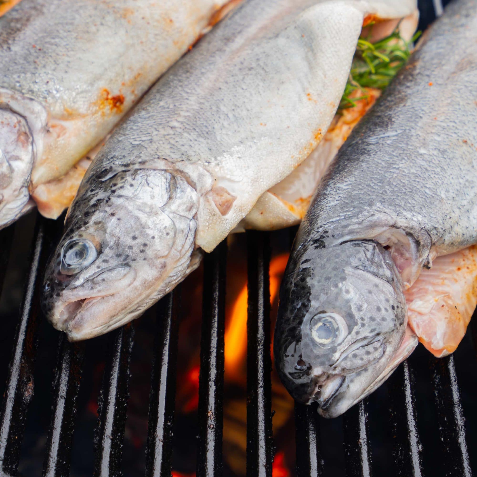 How long does it take to smoke trout at 250 degrees?