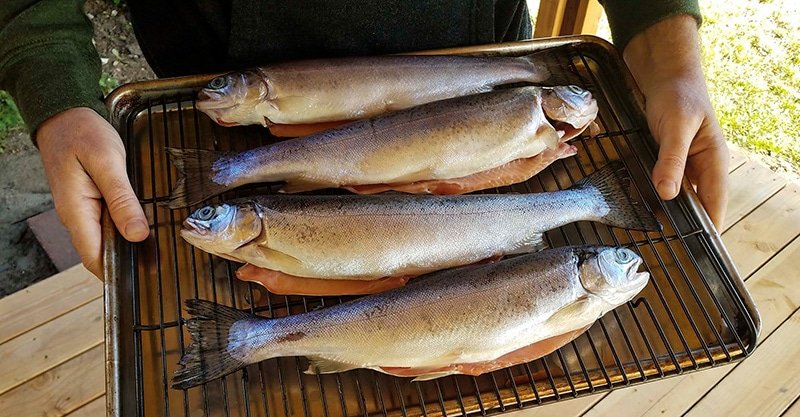 How long does it take to smoke trout in electric smoker?