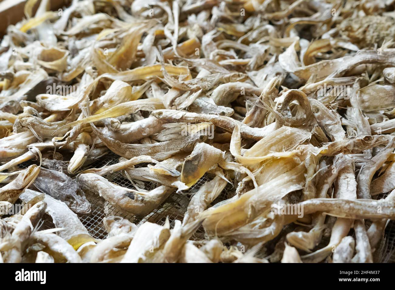 How long does salted fish stay good for?