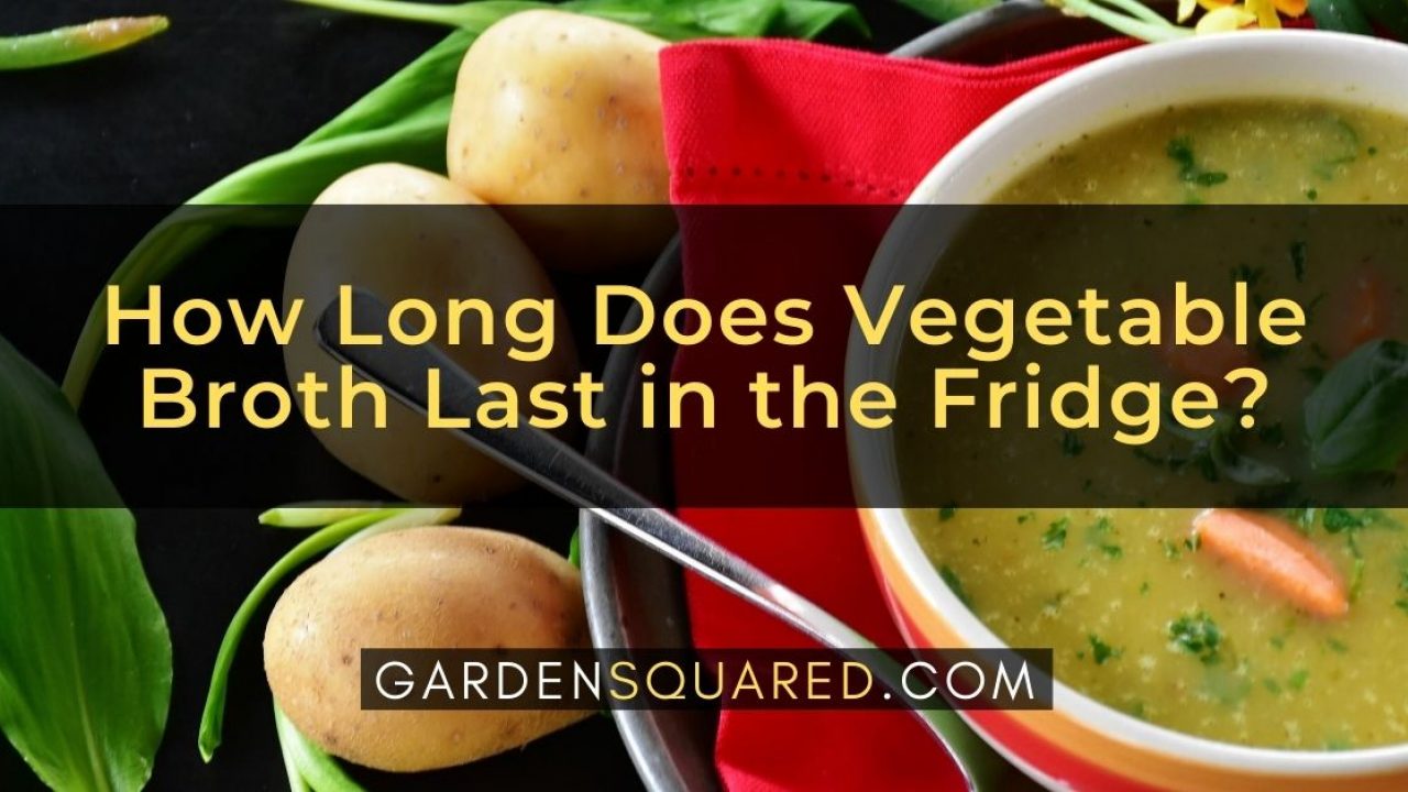 How long does vegetable broth stay good in the fridge?