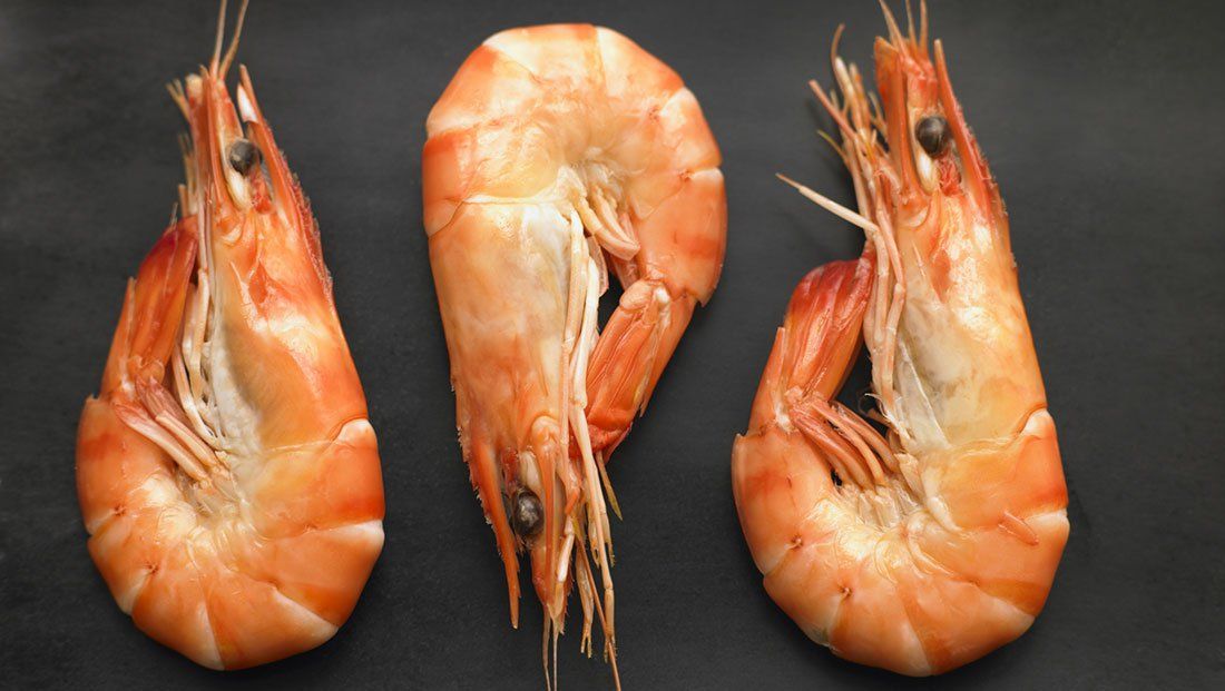 How long have humans been eating shrimp?