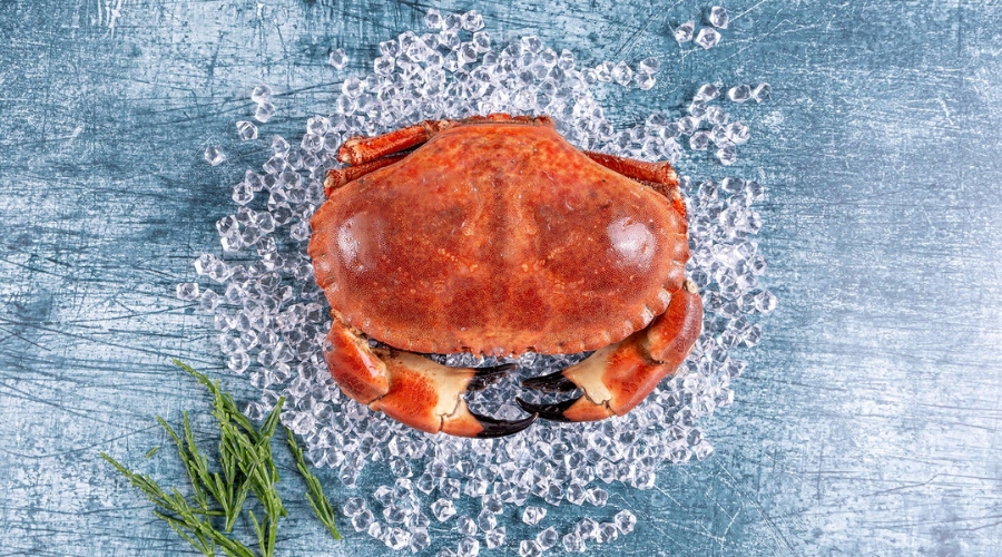 How long is shellfish stock good for?