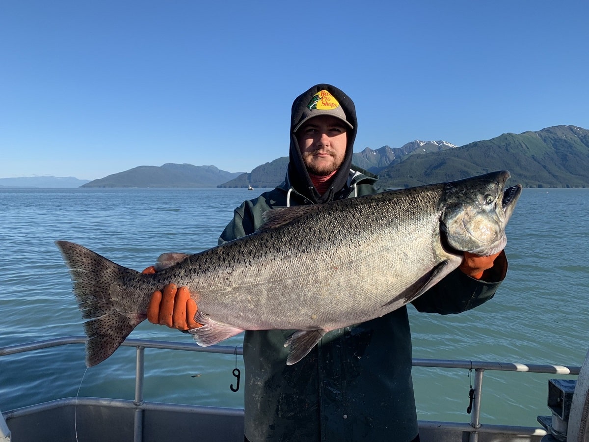 How long is the commercial salmon season in Alaska?