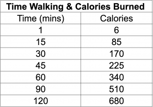 How long of a walk burns 500 calories?