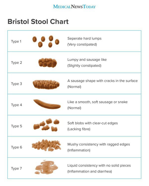 How long on average should it take to poop?