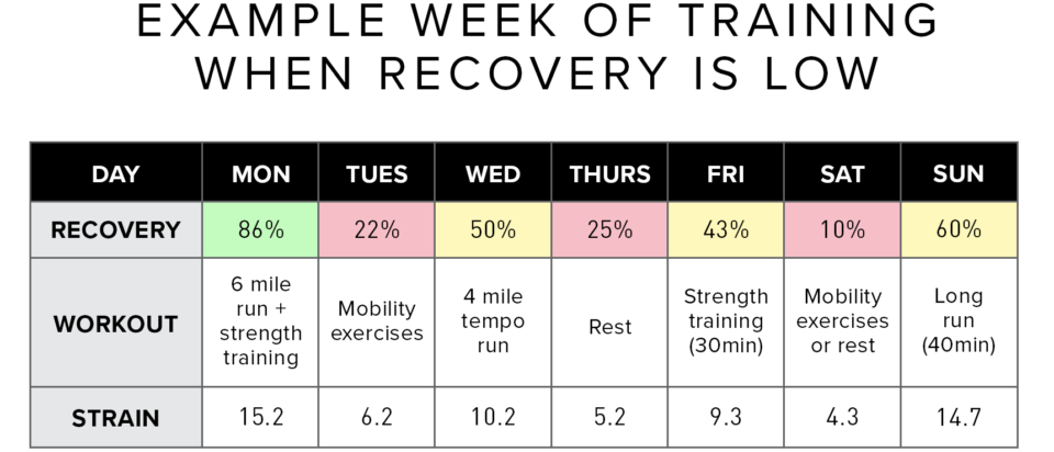 How long should be a recovery run?