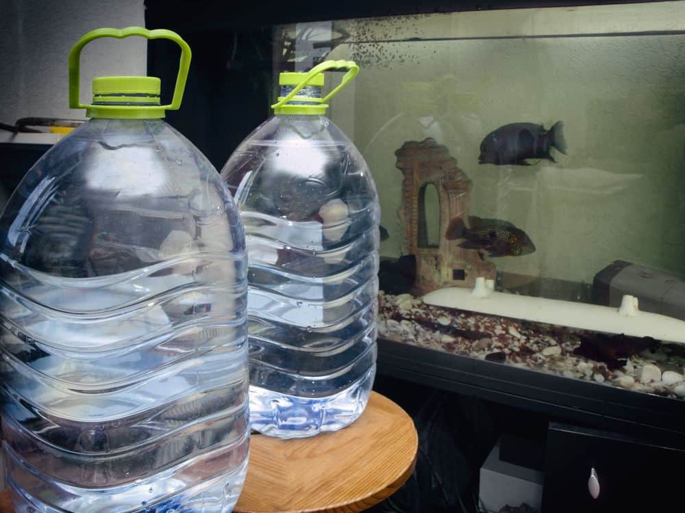 How long should tap water sit to remove chlorine for fish?