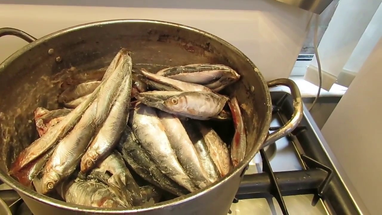 How long should you boil fish for dogs?