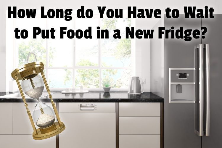 How long should you wait to put food in a new freezer?