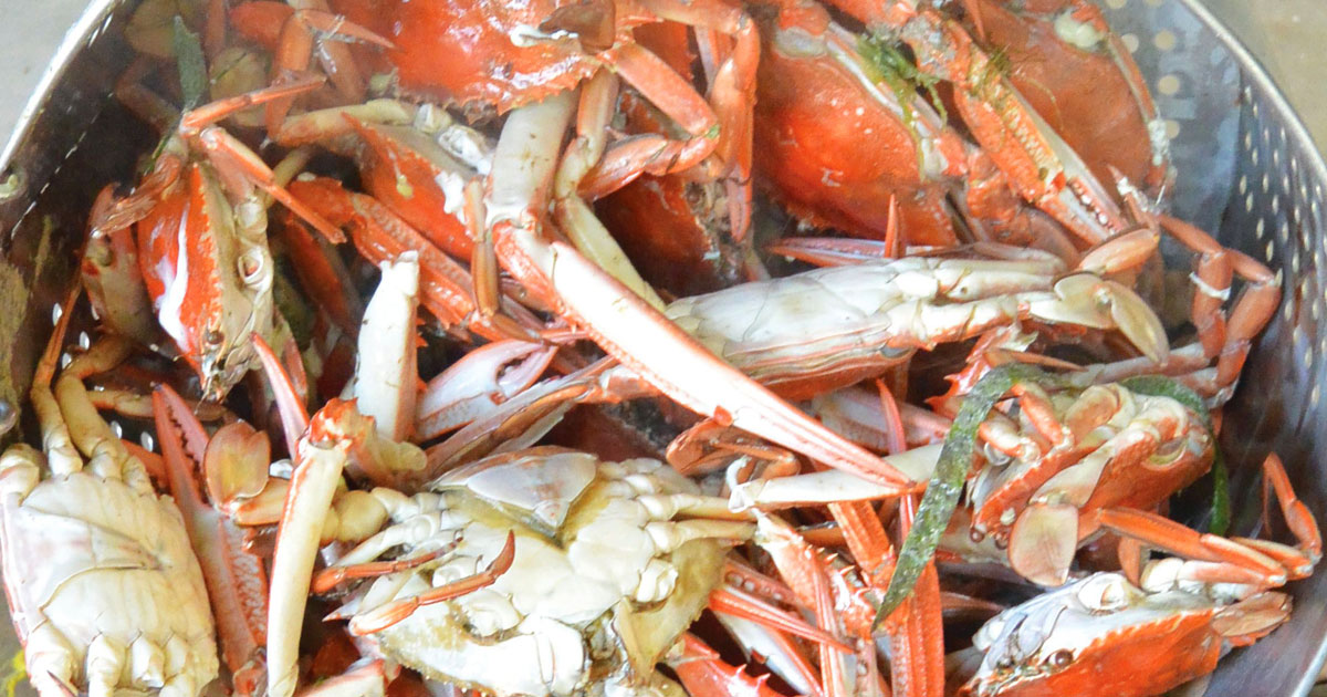 How long to cook blue swimmer crabs?