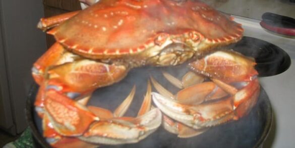 How long to cook frozen pre cooked Dungeness crab?