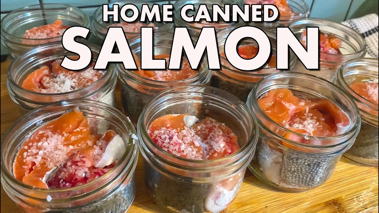 How long to pressure can half pint jars of salmon?