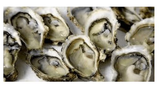 How long will oysters last on ice?