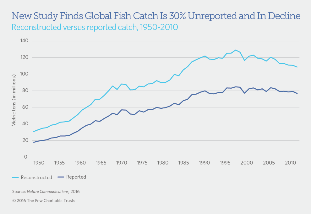 How many Americans go fishing each year?