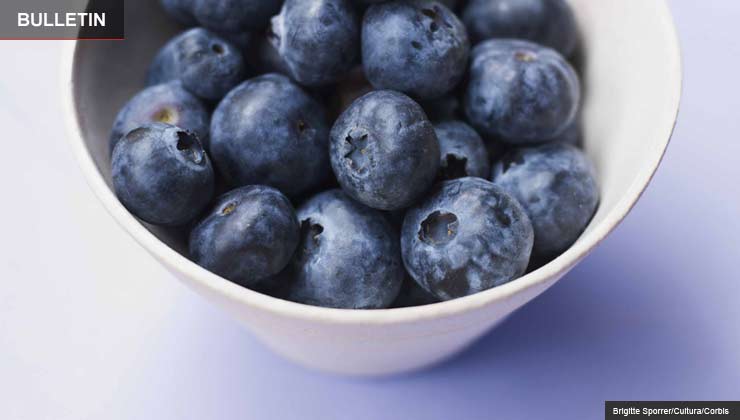 How many blueberries should you eat a day to lower blood pressure?