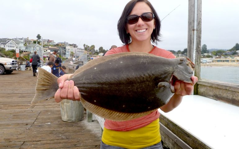 How many California halibut can you keep?