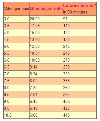 How many calories are burned in 30 minutes on the treadmill?