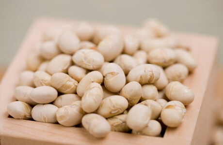 How many calories are in roasted soybeans?