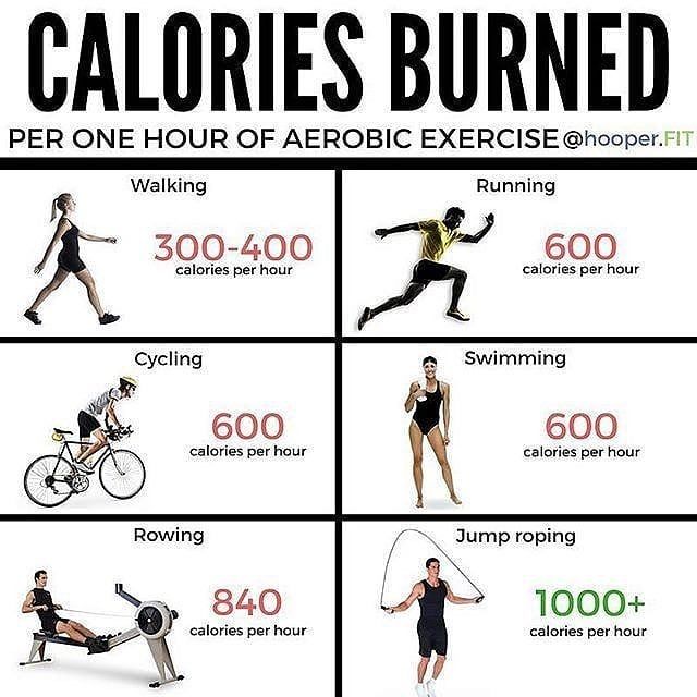 How many calories do you burn in a 1 hour cardio workout?