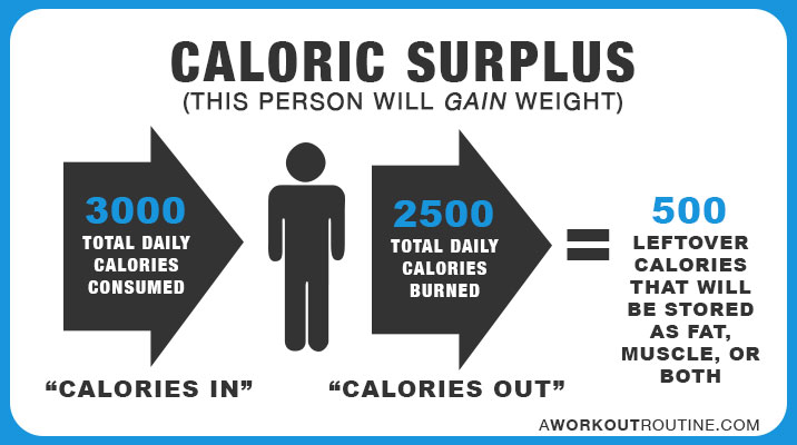 How many calories should I eat a day to put on muscle?