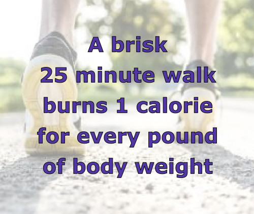 How many calories will 30 minutes of walking burn?