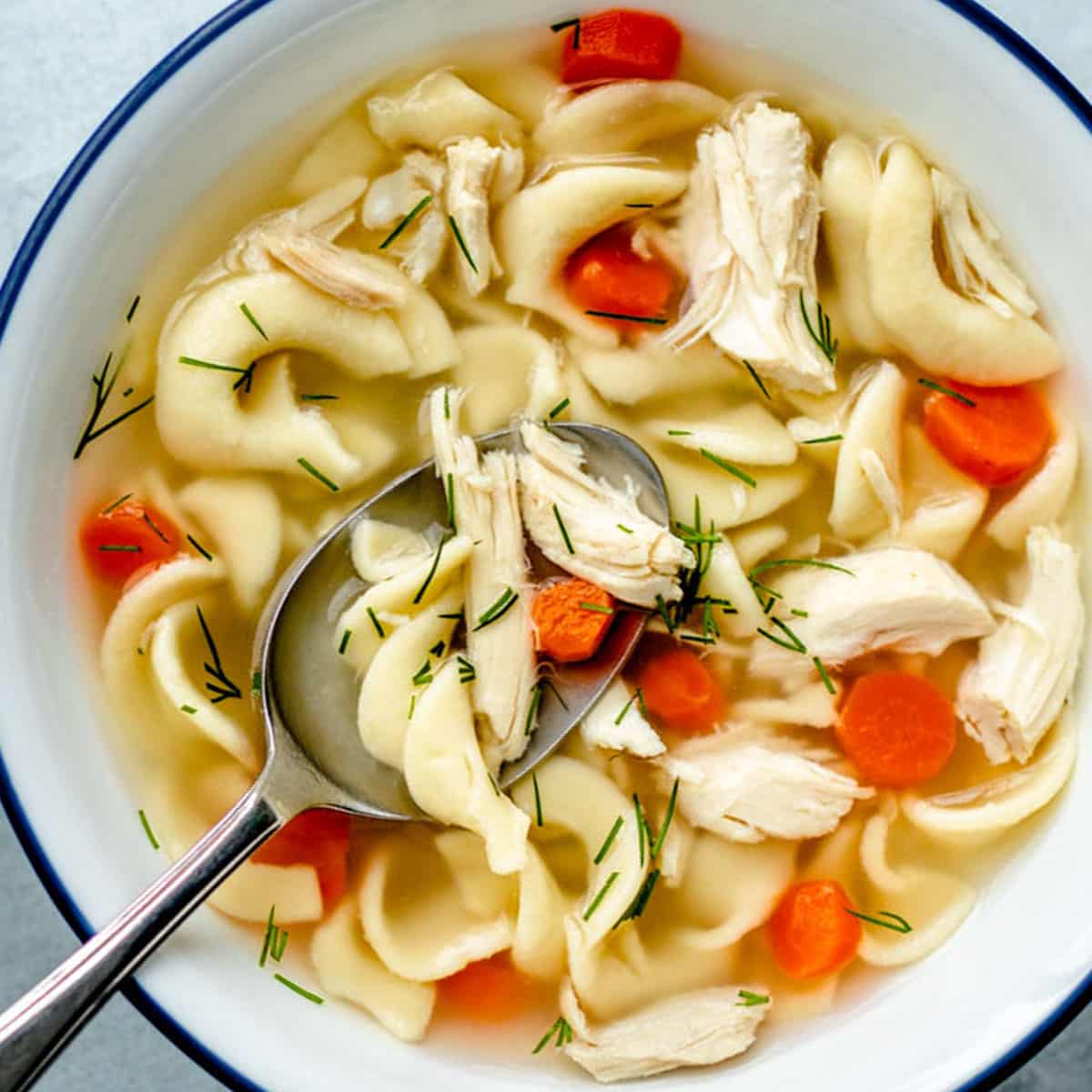 How many carbohydrates are in homemade chicken noodle soup?