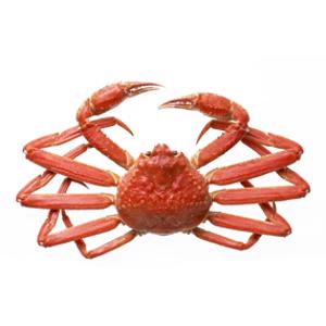 How many carbs does snow crab have?