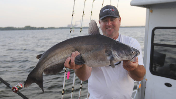 How many catfish can you keep in South Carolina?