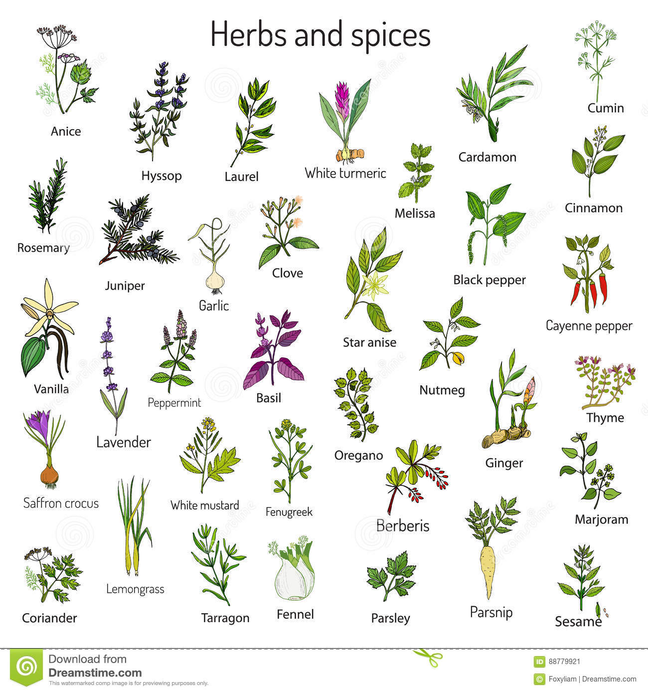 How many culinary herbs and spices are there?