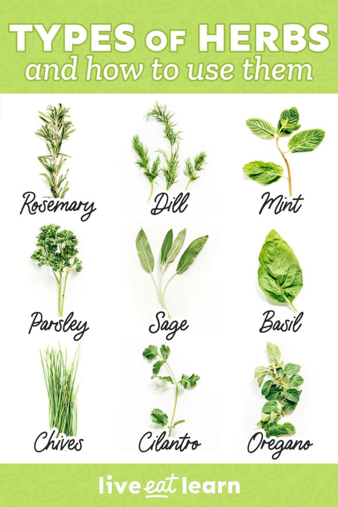 How many different types of herbs are there?