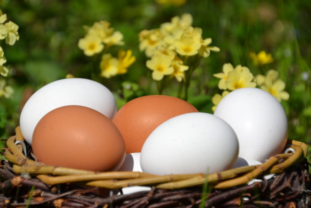 How many eggs can you eat in a plant-based diet?