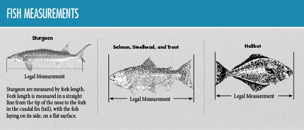 How many fish can you keep in Oregon?