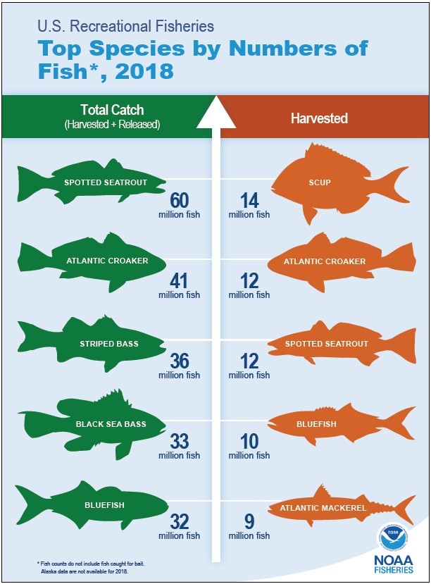 How many fish does the US catch?