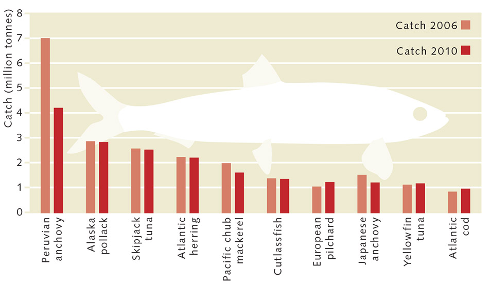 How many fish have been caught in the world?