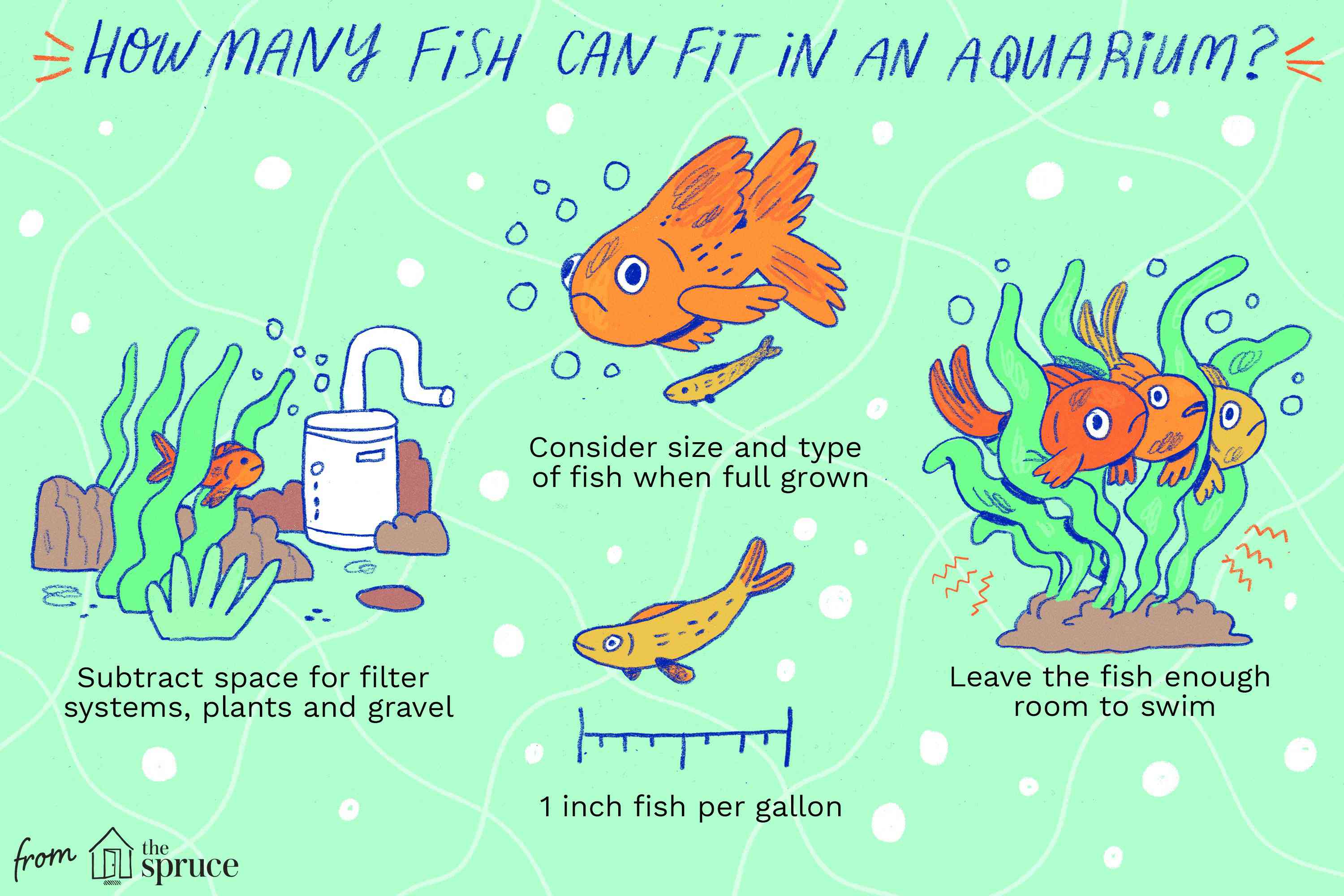 How many fish is safe to add at a time?