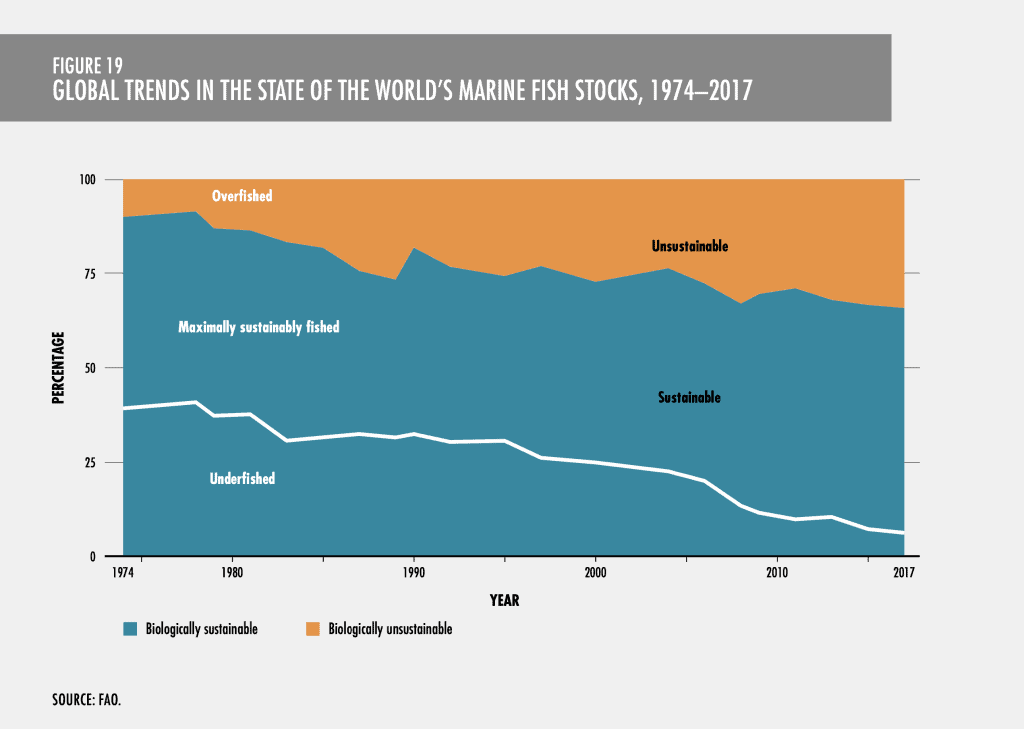 How many fish stocks are overexploited?